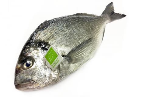 Biologische dorade diepvries - Fish and More